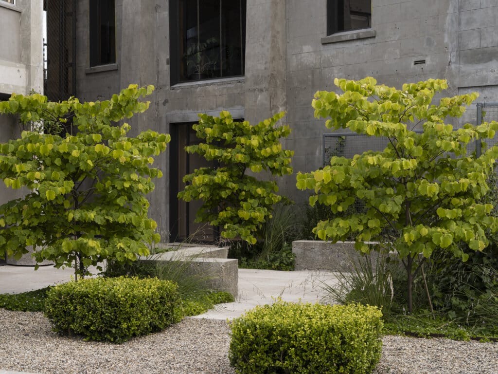 The Chambers commercial courtyard | Jared Lockhart Design | Sage Journal