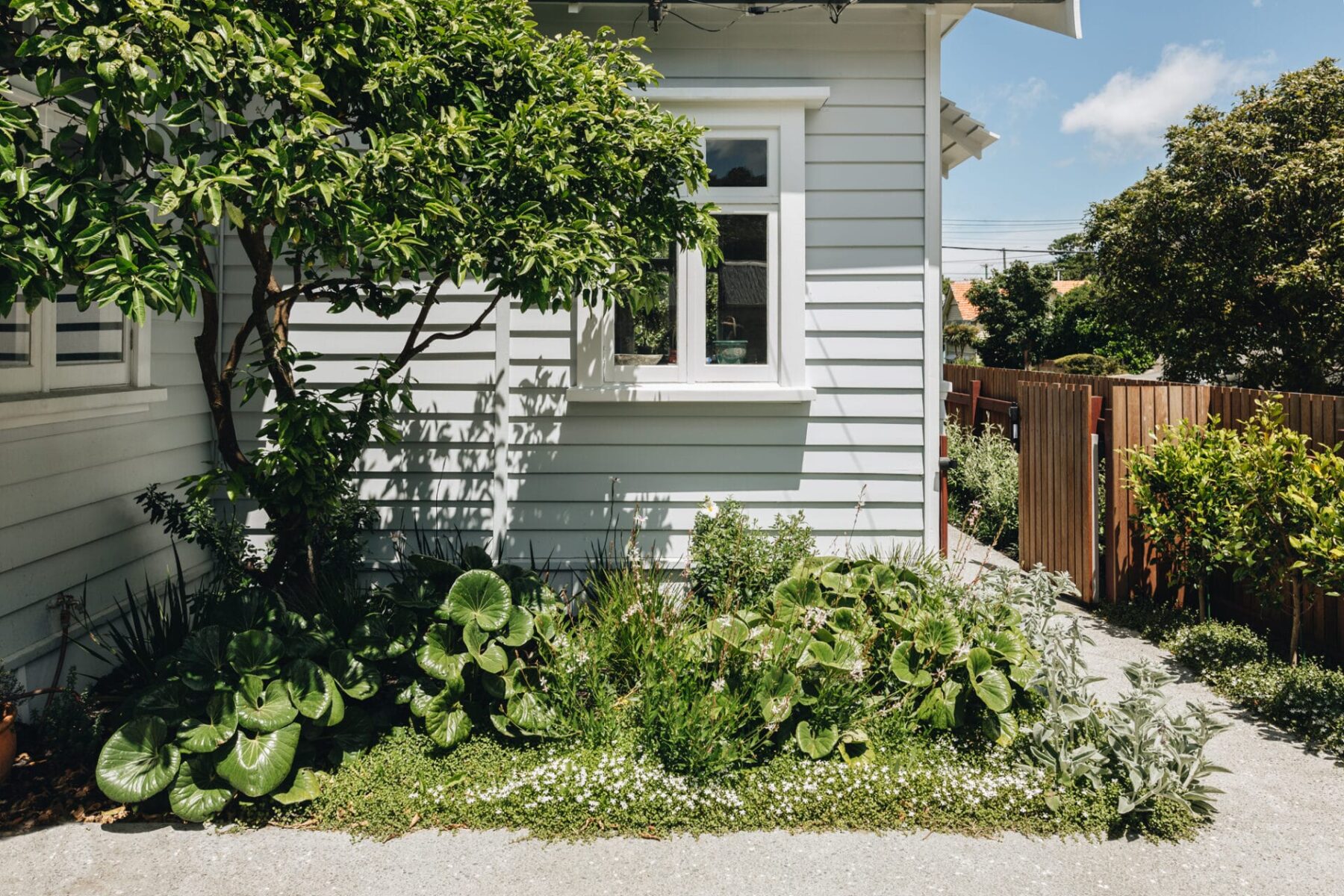 A Mediterranean and coastal-styled Haitaitai garden | Sage Journal