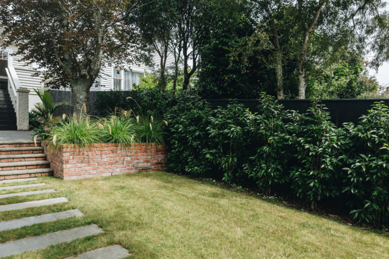 10 best hedges & screening plants for privacy and beauty | Sage Journal