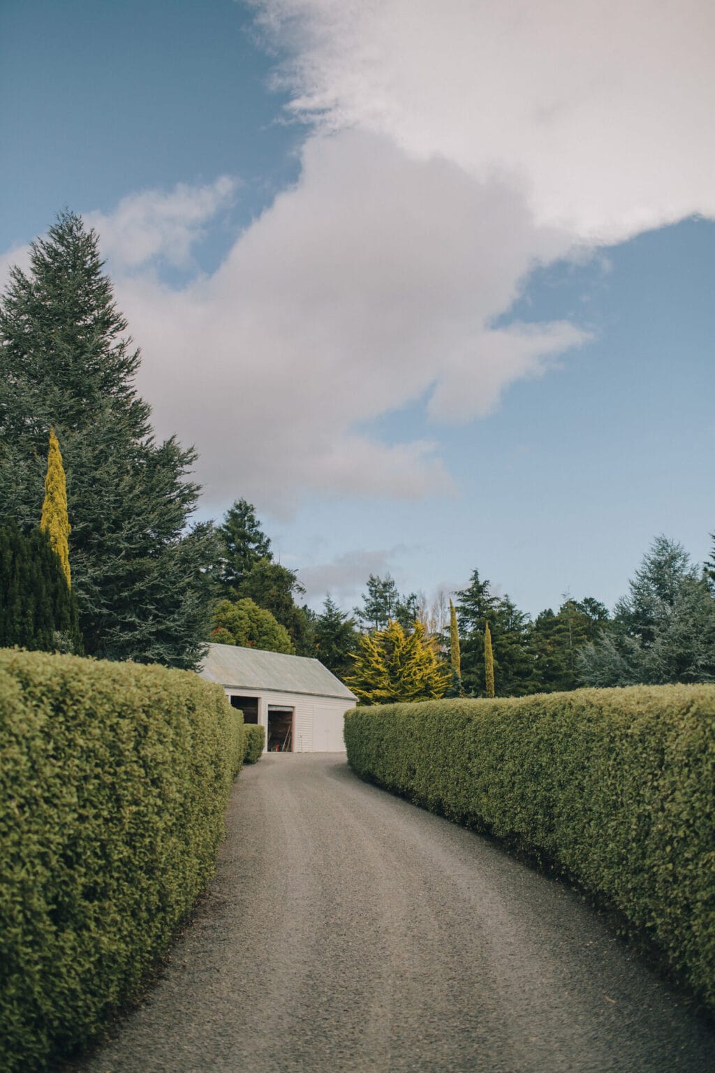 10 best hedges & screening plants for privacy and beauty | Sage Journal