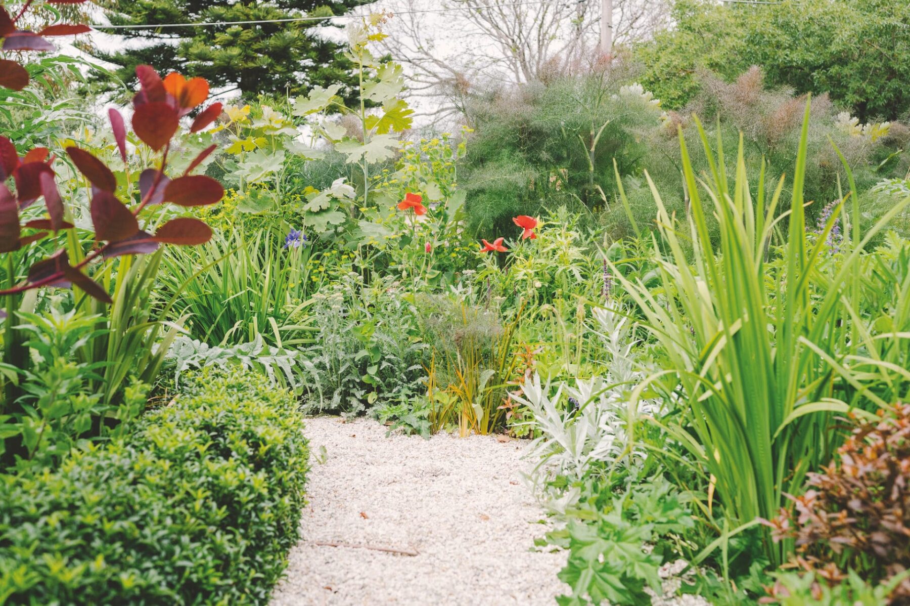 Gardening as an art form | Super Bloom | Sage Journal