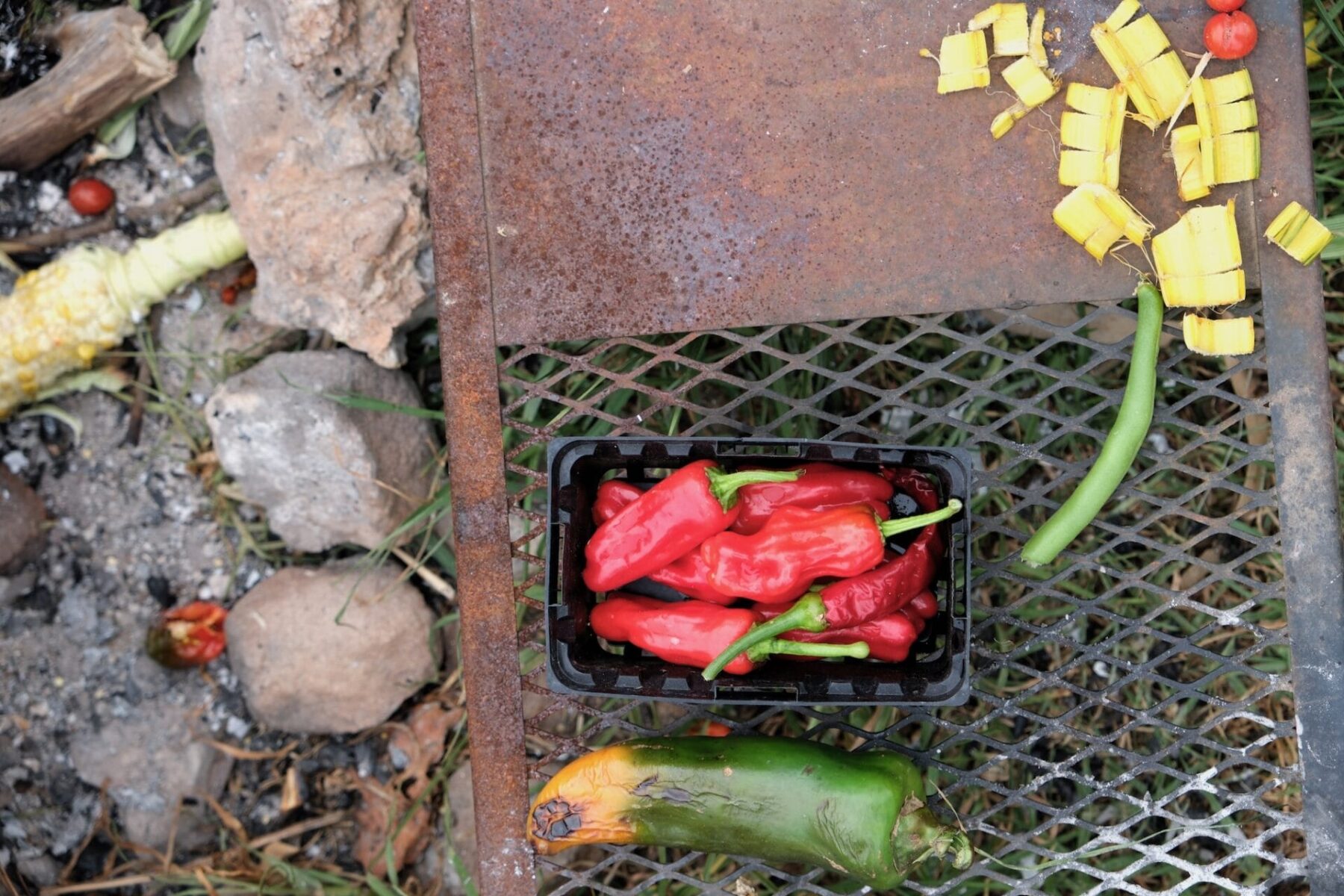 A large-scale vegetable garden and permaculture project that brings a ...