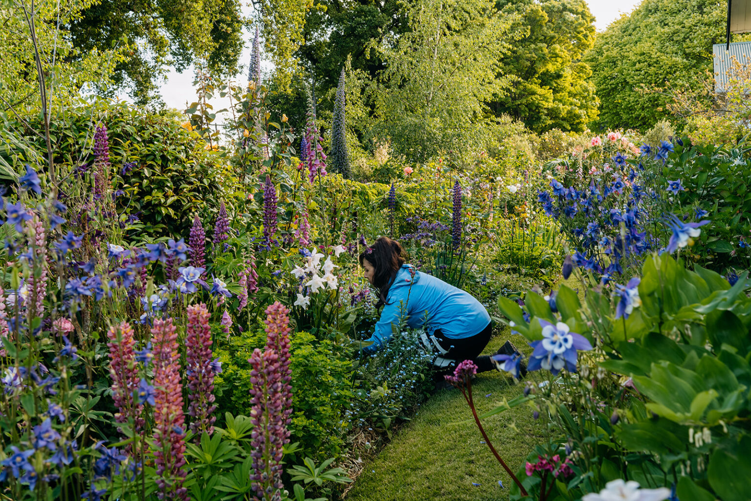 Pottering about the potager | A Waimate cottage garden | Sage Journal