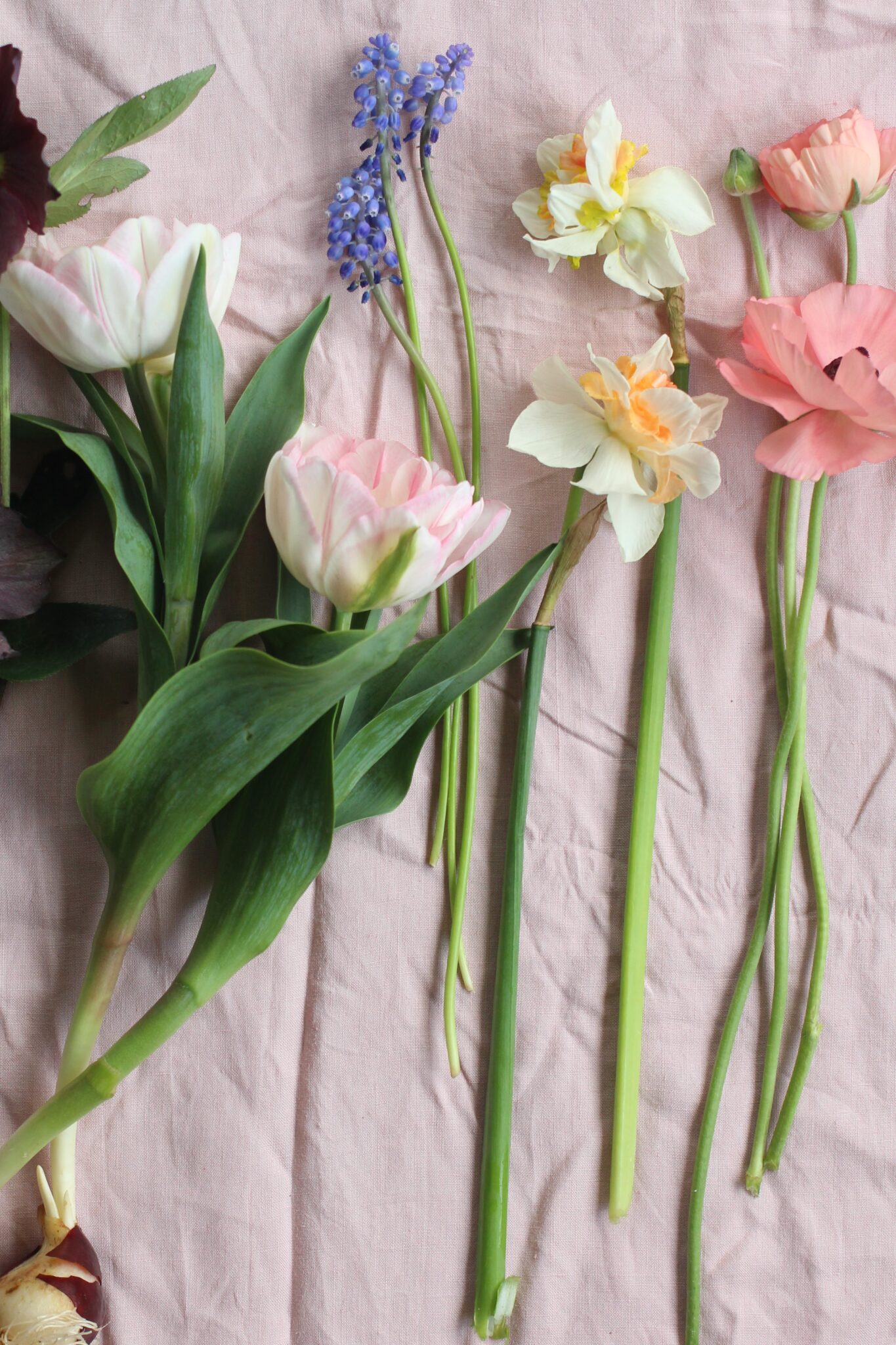 A comprehensive guide to planting & growing spring bulbs | Autumn ...