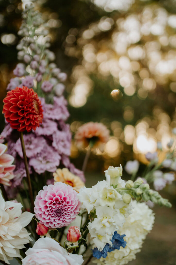 A new crop | How a Marlborough farming family blends cut flower ...