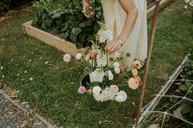 A new crop | How a Marlborough farming family blends cut flower ...
