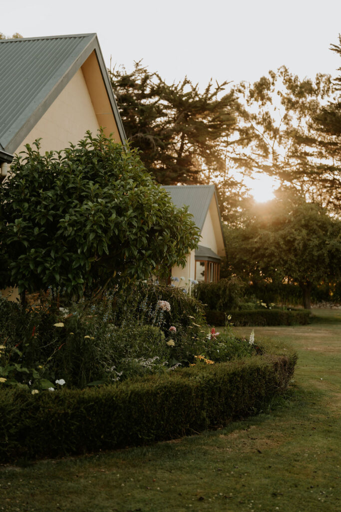 A new crop | How a Marlborough farming family blends cut flower ...