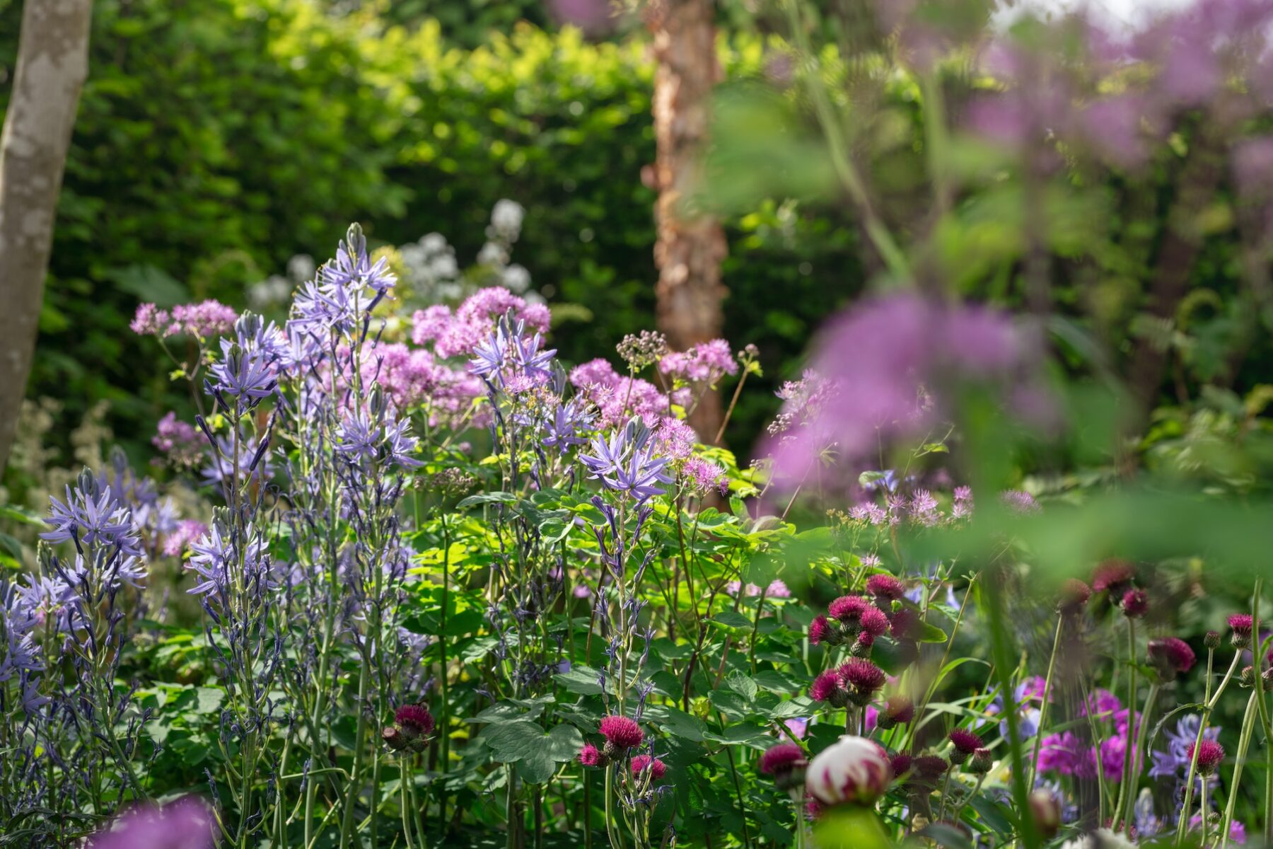 Designed to challenge perceptions & celebrate difference | The Down’s ...