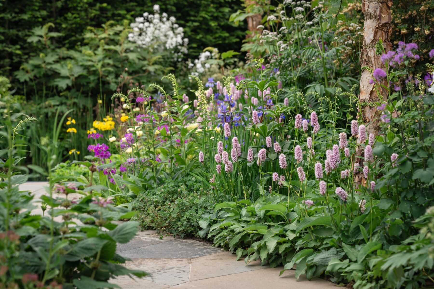 Designed to challenge perceptions & celebrate difference | The Down’s ...