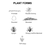 How to design a garden & create a planting palette for your garden ...