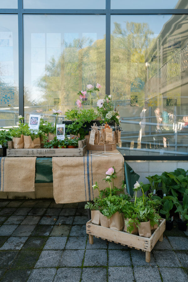 A winter garden gathering | Celebrating 5 years of Sage Journal with ...