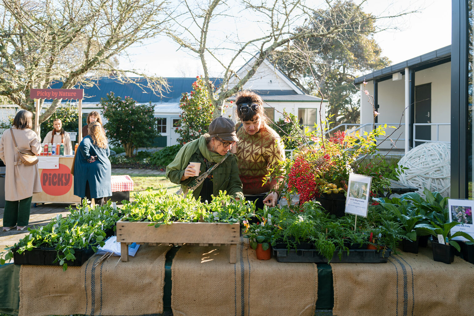 A winter garden gathering | Celebrating 5 years of Sage Journal with ...