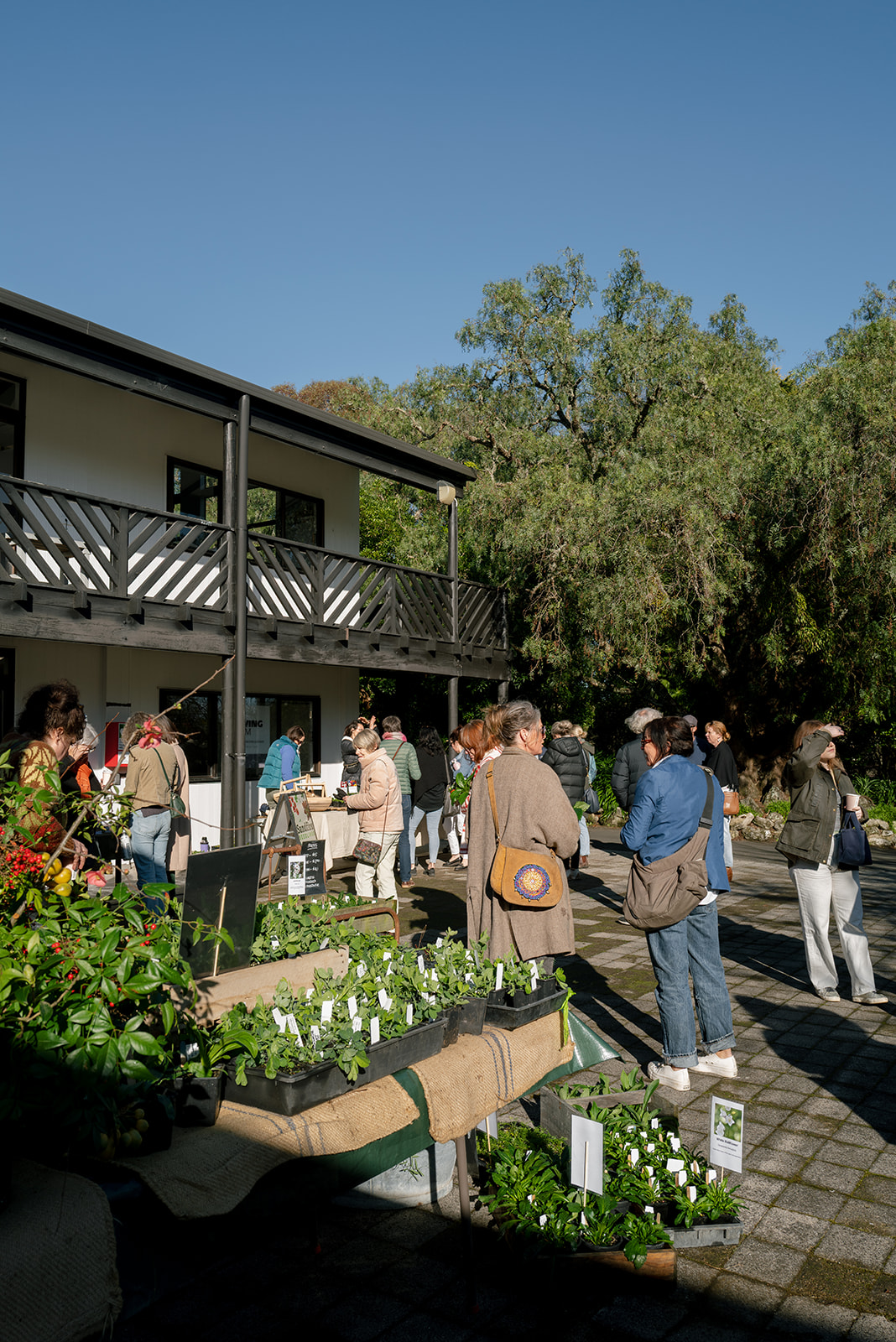 A winter garden gathering | Celebrating 5 years of Sage Journal with ...