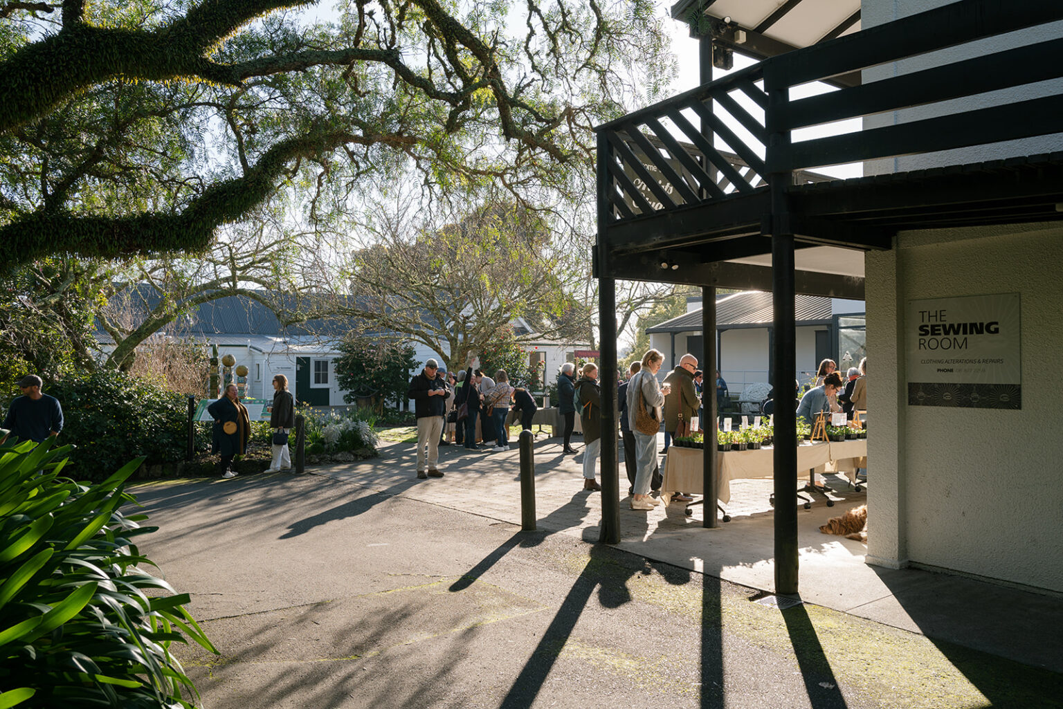 A winter garden gathering | Celebrating 5 years of Sage Journal with ...