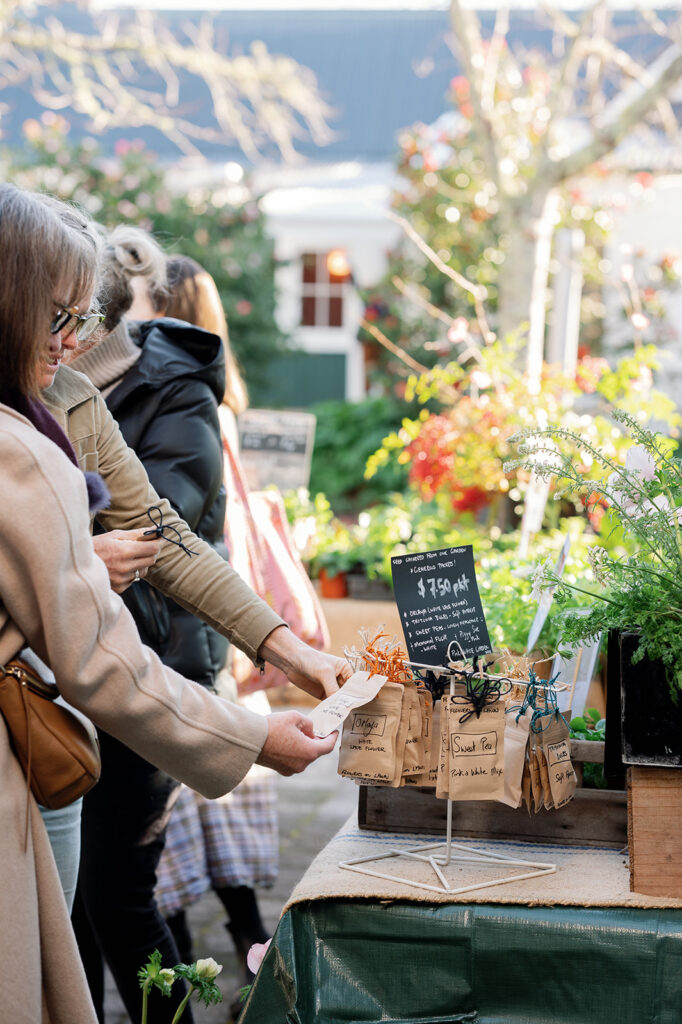 A winter garden gathering | Celebrating 5 years of Sage Journal with ...