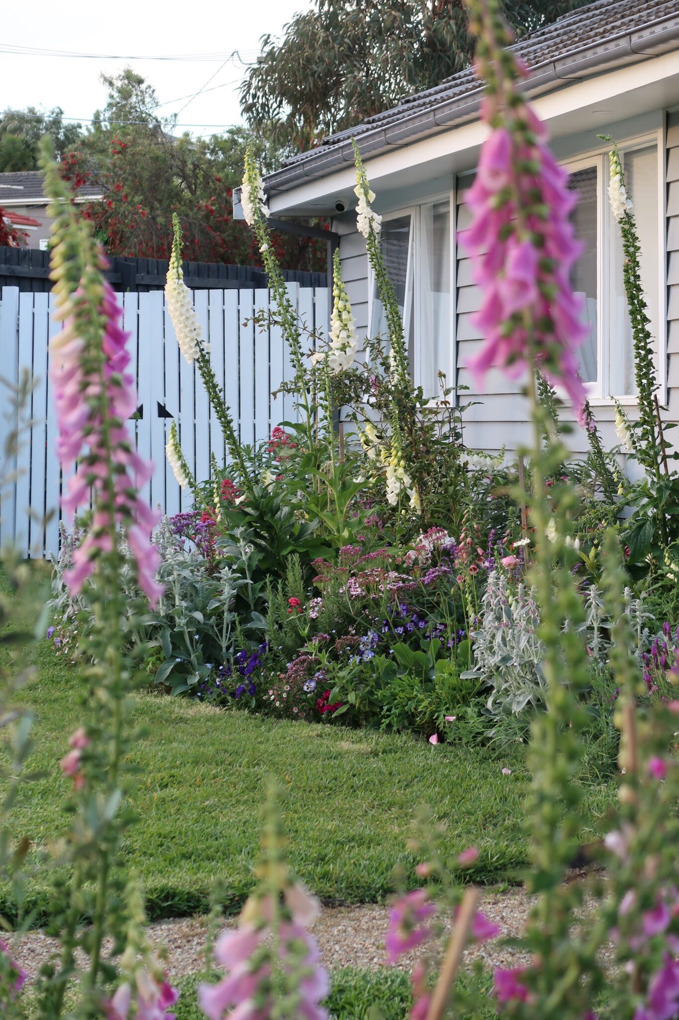 From bare block to cottage garden in the Yarra Valley | Sage Journal